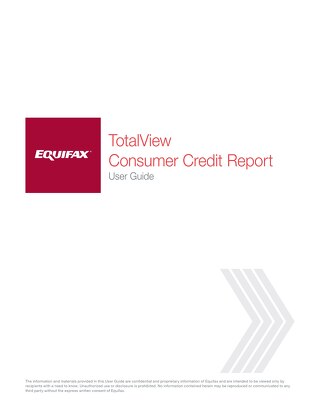 Equifax TotalView Consumer Credit Report